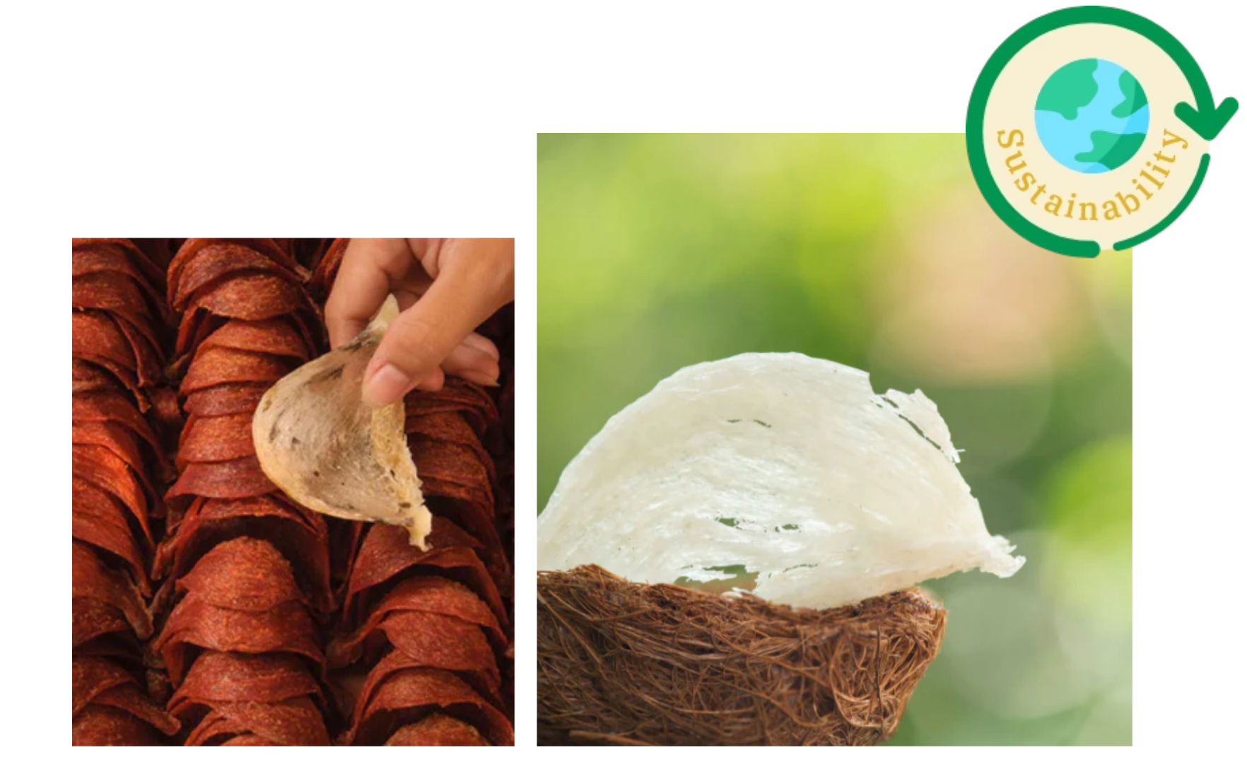 Golden Nest's Sustainability Commitment – Golden Nest