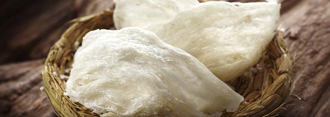 What to Remember When Picking the Best Edible Bird’s Nest